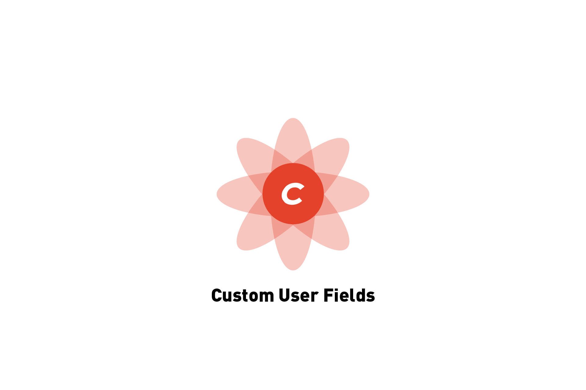 How To Add Custom Fields To Users In Craft CMS how-to-add-custom-fields-to-users-in-craft-cms