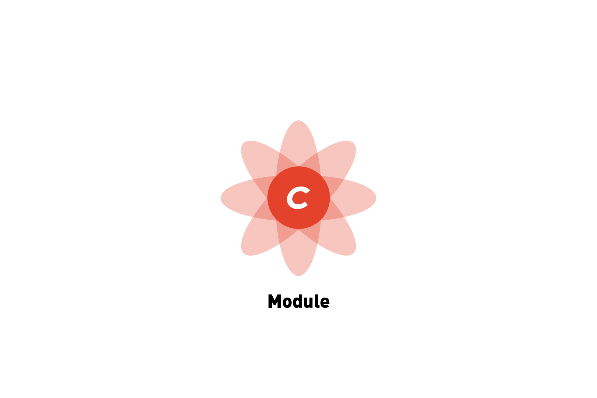 How To Create Setup A Craft CMS Module