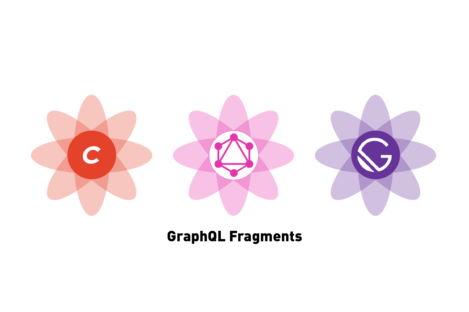 How To Create And Use Graphql Fragments In Gatsby