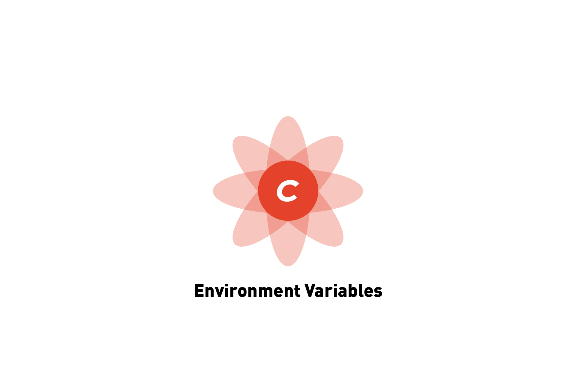 How To Create And Use Environment Variables In Craft Cms